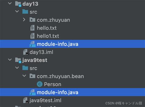java【java9and10and11新特性】 java11 csdn博客