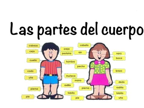 Play Las Partes Del Cuerpo By Silvia Zaragoza On TinyTap