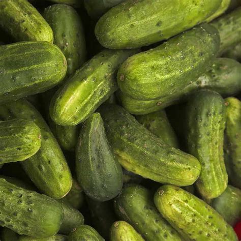 Pepino Pickles Verde Dinkos