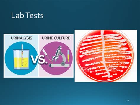 Foundations Final Exam Flashcards Quizlet