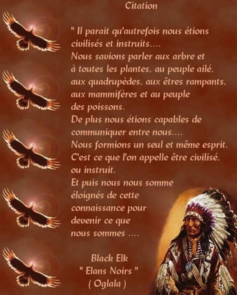 Sagesse Amérindienne Plus Spiritual Quotes Wisdom Quotes True Quotes