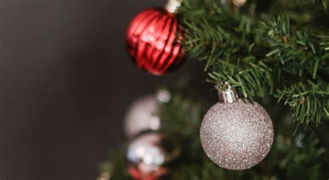Quand faut il jeter son sapin de Noël BX1