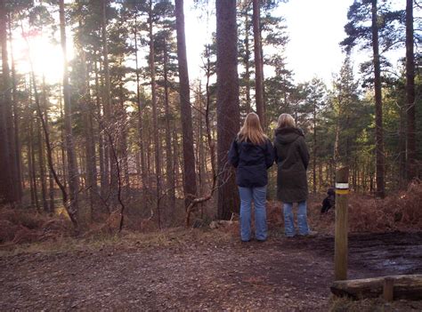 Two Ladies Peeing In The Woods A Photo On Flickriver