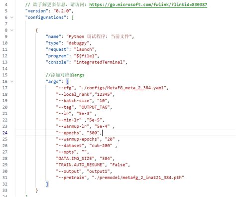 vscode debug调试python代码添加上额外命令（args） vscode增加args csdn博客