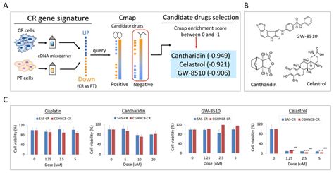 Connective Map Cmap Analysis Identified Celastrol As A Potent