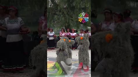 Vive El Folklore Danza De Los Osos YouTube