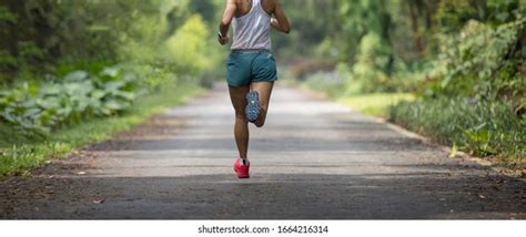 Female Runner Running Summer Park Trail Shutterstock