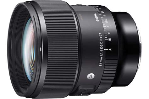 Best Lenses For Sony A Updated Genem Photography