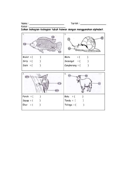 Pdf Latihan Bahagian Tubuh Haiwan Sains Thn Dokumen Tips