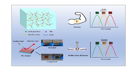Double Network Hydrogel Based Photonic Crystal Sensor For Mechanical