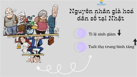 Nguyên Nhân Già Hóa Dân Số ở Nhật Bản Hiện Trạng và Tầm Nhìn Chiến Lược