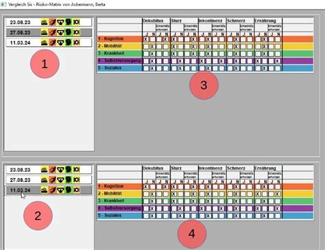 Leitfaden SIS Vergleich Risiko Matrix In Mikis CareBrain
