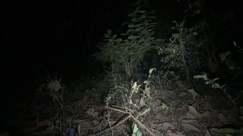HUTAN SUDONYOWO SARANG SILUMAN COLABORASI PAK CUK KKL YouTube