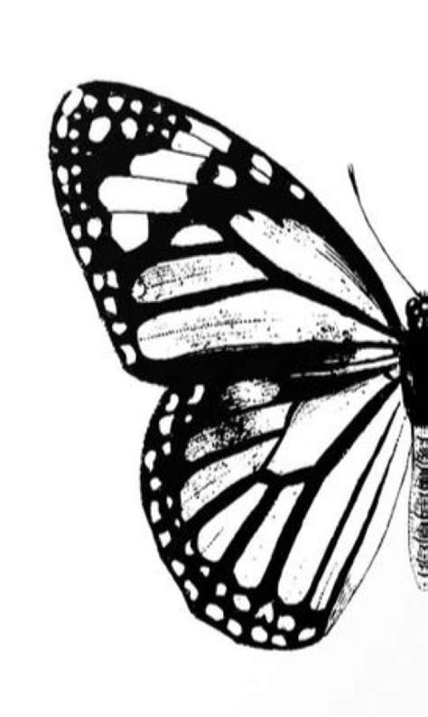 A Black And White Drawing Of A Butterfly