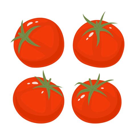 Set Of Tomatoes Fresh Red Vegetable Vegetarian Vegan Healthy Organic