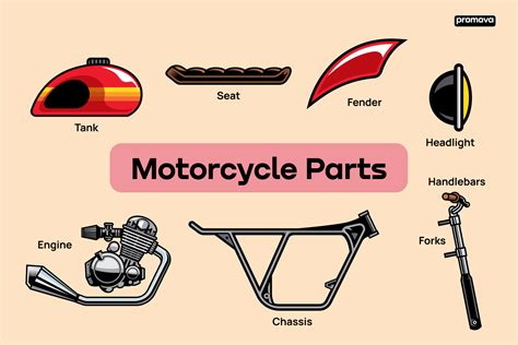 Human Body Spare Parts Name Infoupdate Org