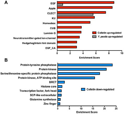 David Functional Annotation Cluster Analysis Of Genes Up And