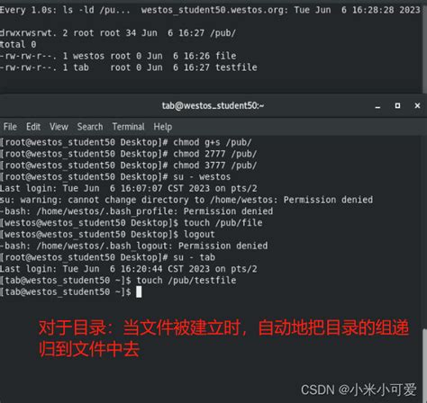 linux系统中的权限管理 linux放开文件权限 csdn博客