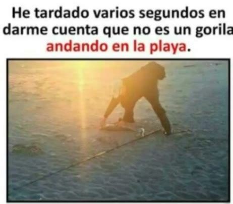 Es Un Pavo Limpiando Meme Subido Por Piano996105 Memedroid
