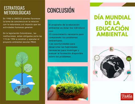 421112729 Triptico Educacion Ambiental ESTRATEGIAS METODOLÓGICAS DÍA