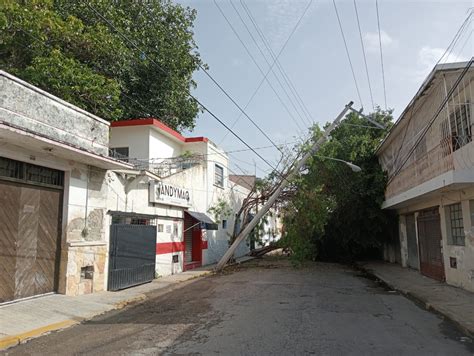 Cae árbol y derriba poste de la CFE Informante Peninsular