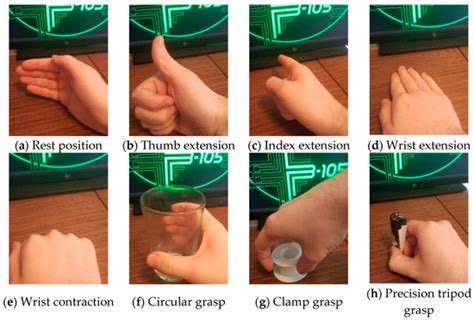 algorithms free full text electromyography gesture model classifier for fault tolerant