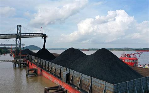 Esdm Harga Batu Bara Acuan Juli Naik Tipis