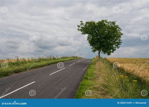 Route Pittoresque Bordée D arbres Et D un Terrain Verdoyant En Avant