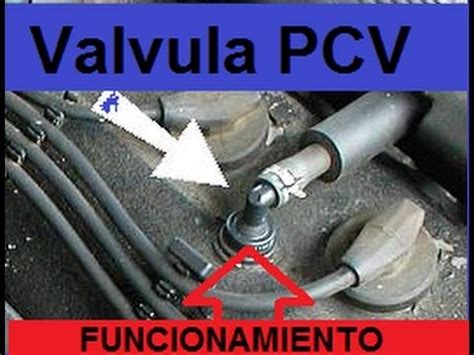 Valvula Pcv Como Funciona Fallas Comunes Y Cuando Cambiar YouTube