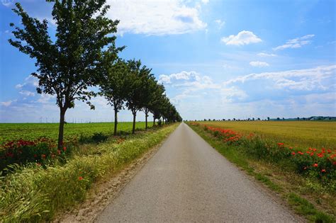 Pole Krajobraz Natura Darmowe zdjęcie na Pixabay Pixabay