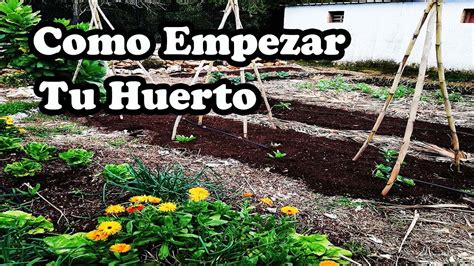Como Preparar La Tierra Para Un Huerto Agosto 2024