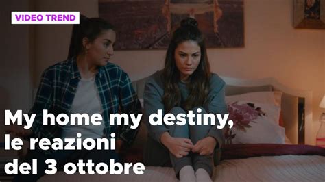 My Home My Destiny Il Riassunto E Le Reazioni Del 3 Ottobre Mediaset