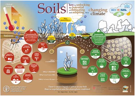 Soil Functions