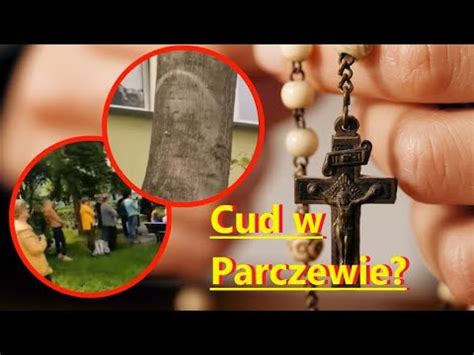 CUD W PARCZEWIE Mieszkańcy modlą się przy drzewie YouTube