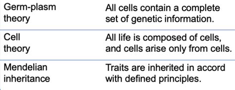 Ibio Exam Flashcards Quizlet