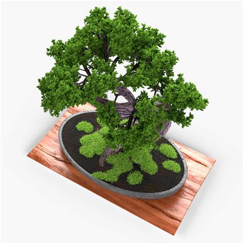 Keren Model Pot Bonsai