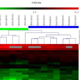 Heatmap And Hierarchical Clustering For Different MiRNAs In The Exp