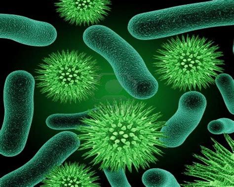 Quá trình quang khử ở vi khuẩn có góp phần làm sạch môi trường nước