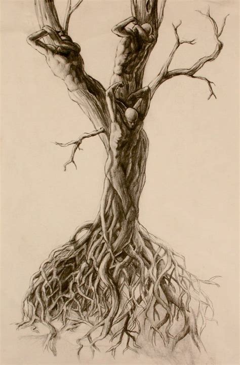 A Drawing Of A Tree With Its Roots Exposed
