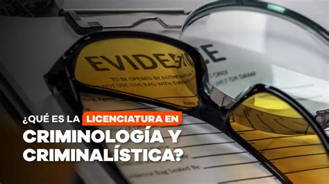 Requisitos para estudiar criminología todo lo que necesitas saber