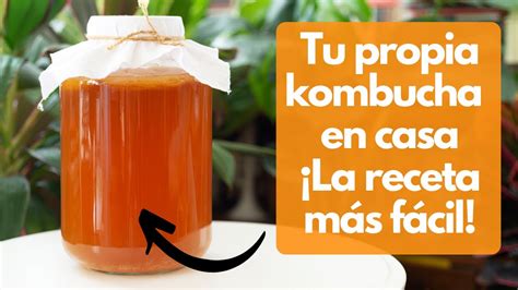 Cómo hacer kombucha La receta más fácil Descubre cómo hacer tu