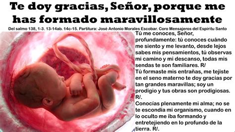 Te doy gracias Señor porque me has formado maravillosamente Salmo 138