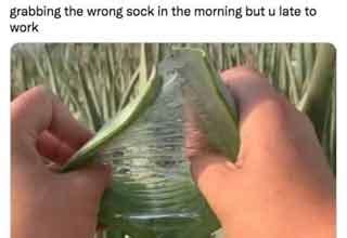 Dirty And Savage Memes For You Degenerates Funny Gallery Ebaum S