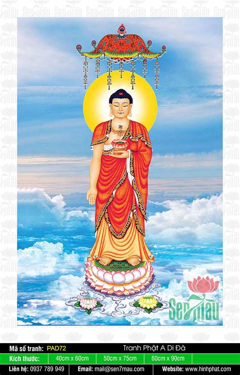 B S U T P H Nh Nh Tuy T P V C Ph T A Di Buddha Flickr