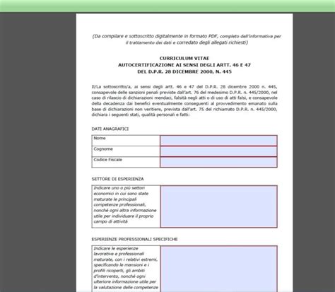 DOMANDA DI ISCRIZIONE ALL ELENCO DEGLI ESPERTI NEGOZIATORI Consiglio