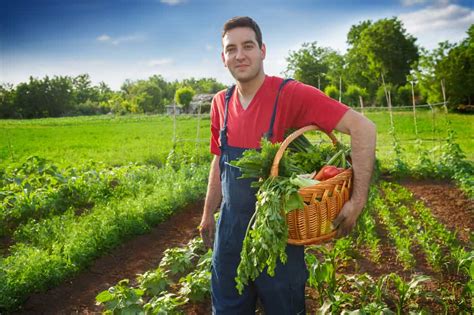 Agriculture biologique top 3 des régions françaises les plus bio