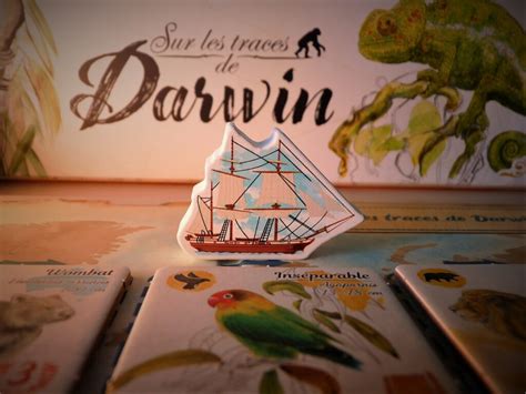 Sur les traces de Darwin ultime évolution du jeu passerelle