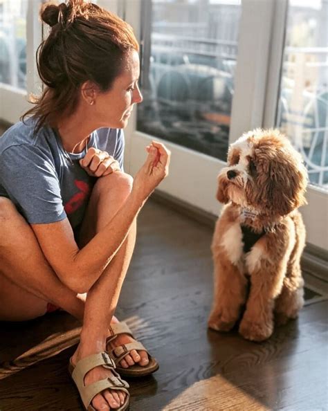 Stephanie Ruhle S Feet I Piedi Di Stephanie Ruhle Page 3