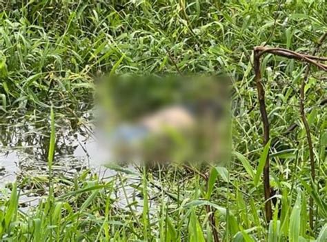 Corpo de homem é encontrado em córrego em Marechal Deodoro AL