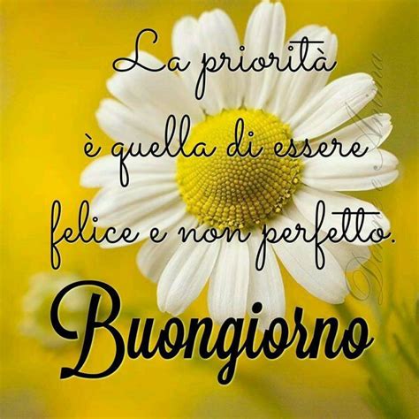 Immagine Frase Buon Giorno Con Margherita Immagini Buongiorno